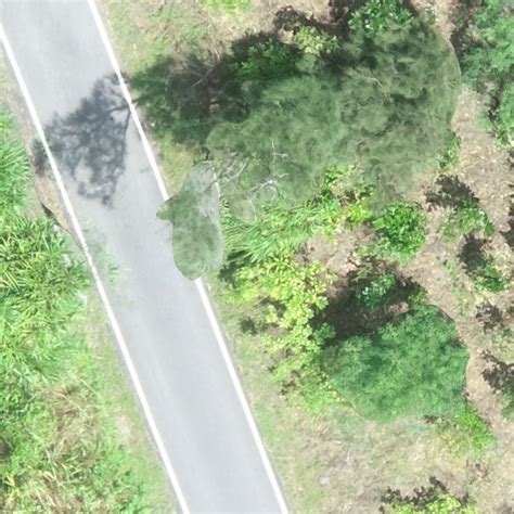 2021 Instance Segmentation Dataset By Coastline