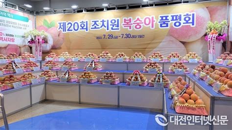제20회 조치원 복숭아 축제 개막