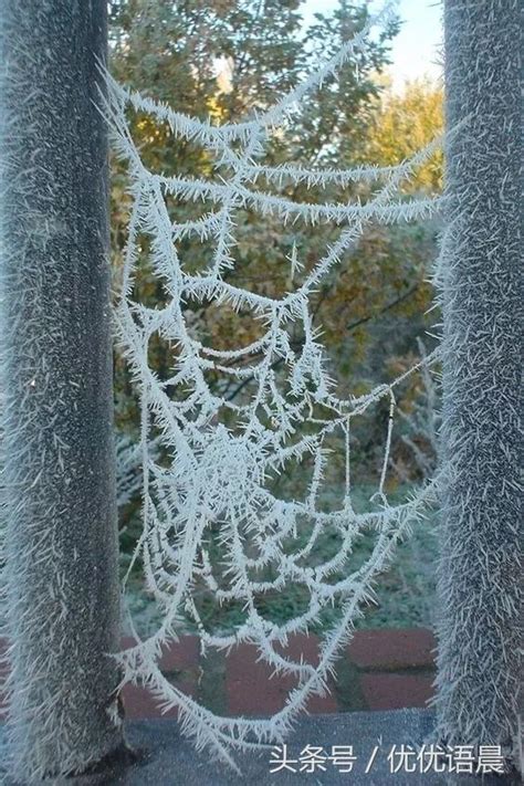 盛夏 來點雪景消消暑 每日頭條