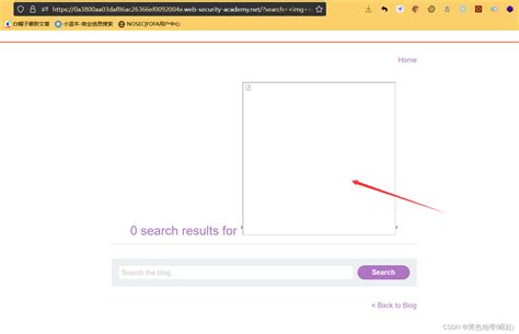 【burpsuite安全练兵场 客户端11】跨站点脚本xss 10个实验（下）burpsuite可以运行脚本吗 Csdn博客