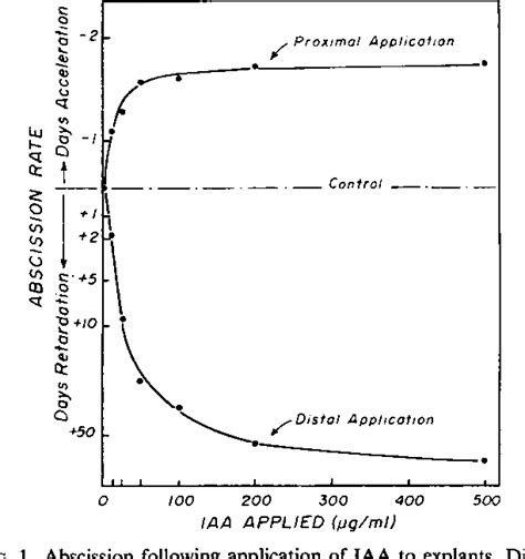 Figure 1 From Applied Auxin Gradients And Abscission In Explantsl