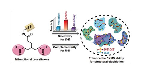 Alkynyl Enrichable Carboxyl Selective Crosslinkers To Increase The