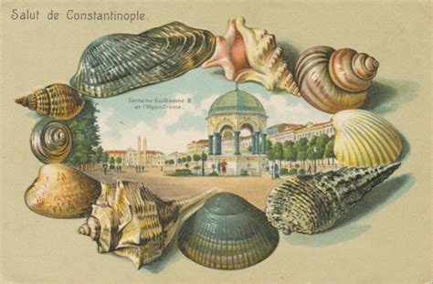 Stephanie Wolf Adlı Kullanıcının Shell Postcards Panosundaki Pin
