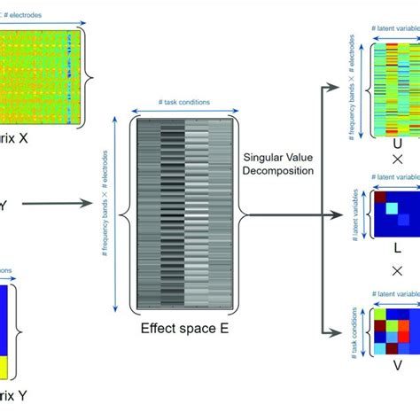 Task Partial Least Squares Pls Algorithm For The Average Eeg Download Scientific Diagram