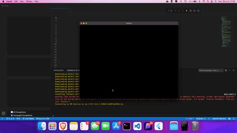 when i launch my flutter application on macos the application is empty