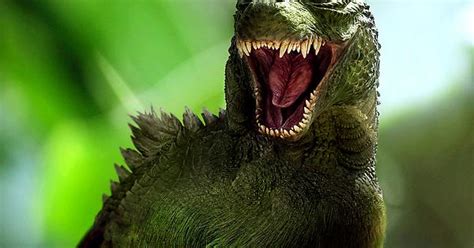 Birdzilla Album On Imgur