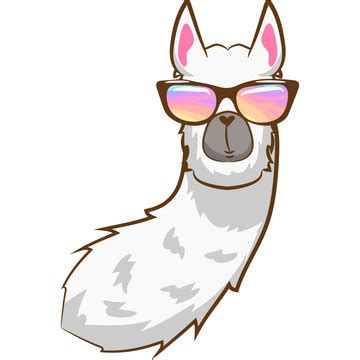 Llama Head Clipart 3988807 Clipart Library