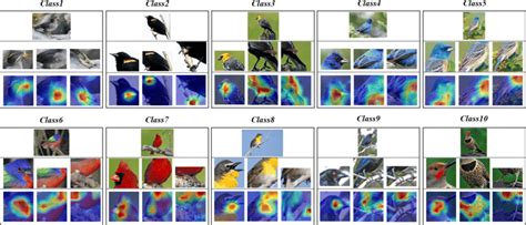 The Exhibition Of Mixed Attention On The Activation Of Different Parts Download Scientific