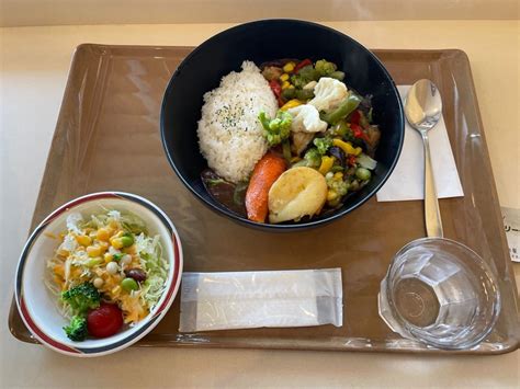 道の駅遠軽森のオホーツク北海道紋別郡遠軽町野上150番地1で1日分の野菜カレー Rikoのおひとりさま～札幌情報・北海道旅行情報・温泉