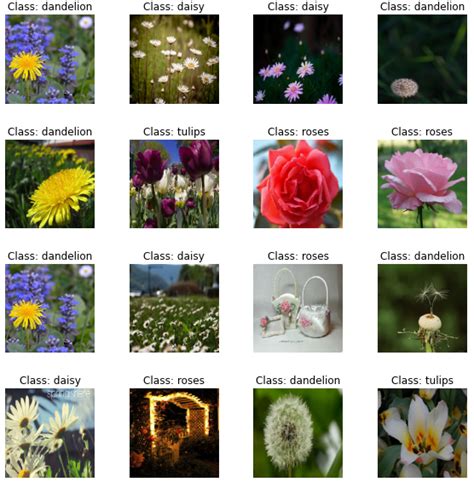 Github Guilhermedommobilenet Transfer Learning Flowers Transferring Mobilenetv2s Feature