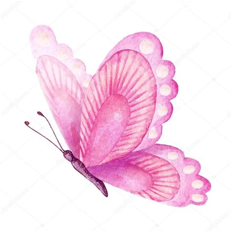 Compartilhar 76 Imagem Borboletas Rosa Bebe Br Thptnganamst Edu Vn