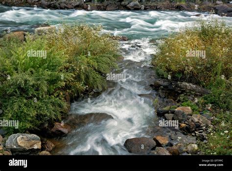 Bu00084 00 Bhutan Side Steam Joins The Wang Chhu River In The