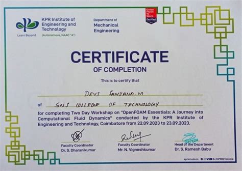 Unveiling The World Of Computational Fluid Dynamics A Reflection On