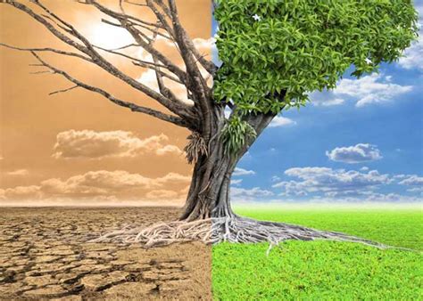 Essay On Causes And Effects Of Global Warming For Students