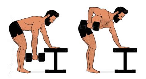 The Bent Over Barbell Row Hypertrophy Guide