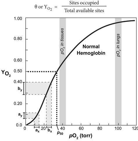 Answered When Yo2 0 5 The Value Of Po2 Is… Bartleby