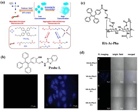 A Molecular Structure Of Tpe Sh4 B Molecular Structure Of Probe L