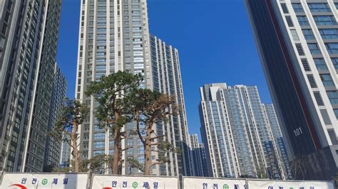 백양산롯데캐슬골드센트럴 59a타입 매매 전세 네이버 블로그