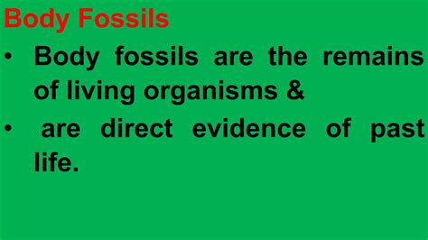 Fossils It S Types PPT