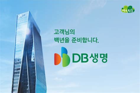 Db생명 작년 세전이익 619억원전년비 313↑