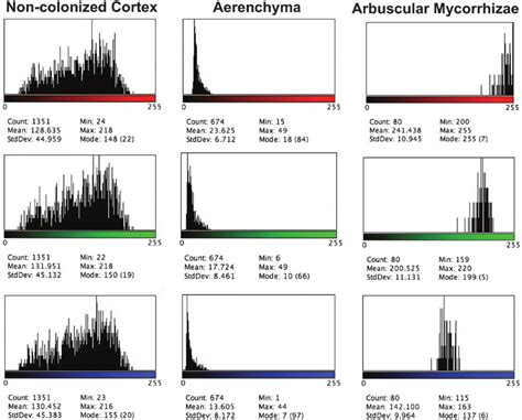 Rgb Spectra Measured In Imagej From Designated Areas Of Non Colonized