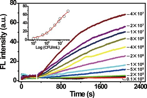 Graphene Dnazyme Based Fluorescent Biosensor For Escherichia Coli Detection Mrs Communications