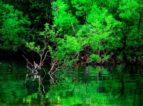 She Shee Photography And Collection Llc On Linkedin Shesheephotography Landscape Photography