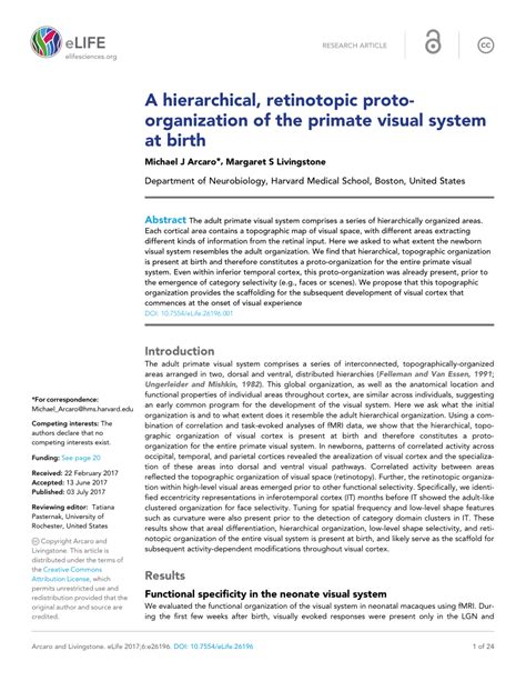 Pdf A Hierarchical Retinotopic Proto Organization Of The Primate