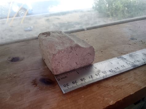 Help In Identification Fossil Id The Fossil Forum
