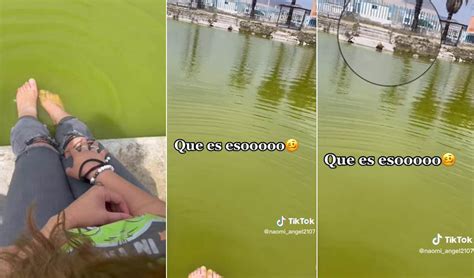 Tiktok Viral Peruana Viaja A Chilca Visita Laguna Mellicera Y Halla A Pareja En íntima Escena