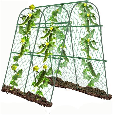 Buy Round Frame Garden Arch Arbor Cucumber Trellises Zucchini Trellis In Titan Tunne Tomato