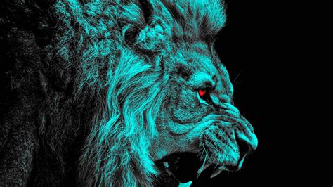 Angry Lion Eyes Wallpaper