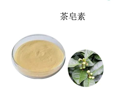 茶皂素是什么茶皂素的作用 花卉百科 绿宝园林网
