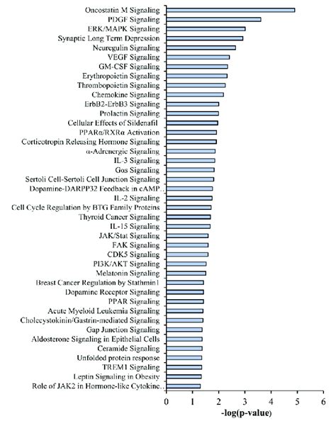 Ingenuity Pathway Analysis Ipa ® Of Differentially Expressed Genes
