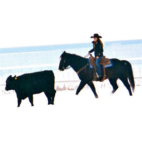 Joe Loveridge Youtube