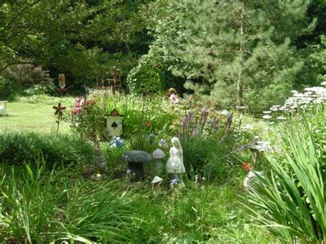 Grandson Evans Alice In Wonderland Garden Southwestern Indiana Master