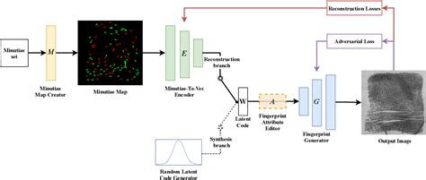 Figure 2 From Synthesis And Reconstruction Of Fingerprints Using