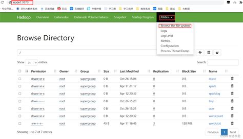 Hadoop和spark中通过网页查看任务执行情况网页显示spark系统状态 Csdn博客