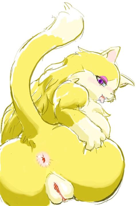 Fifi