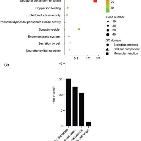Functional Classification Of Go And Kegg For Degs In Crowding