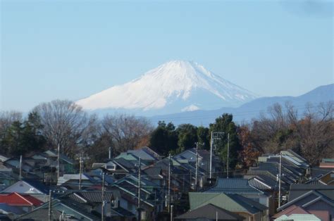 緑園での日々のこと（476緑園の絶景ポイント 留守宅は大丈夫？