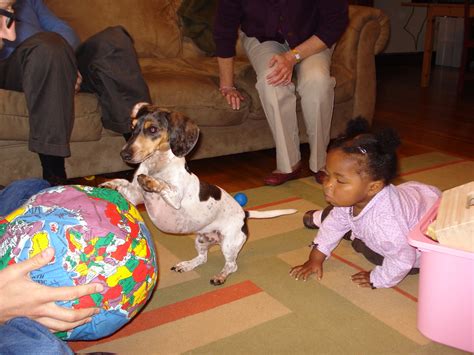 Dsc01824 Lexflex Flickr