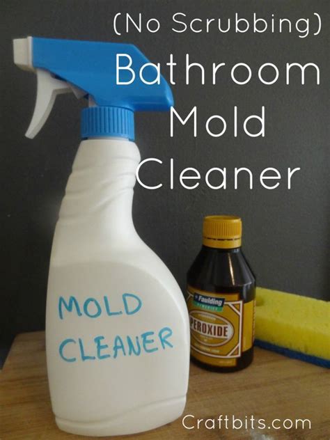 How To Keep Mold From Shower At Alexander Galindo Blog