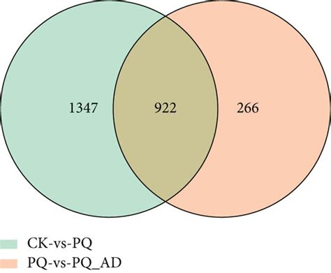 Statistics Of Differential Gene Expression In C Elegans RNA Seq Data