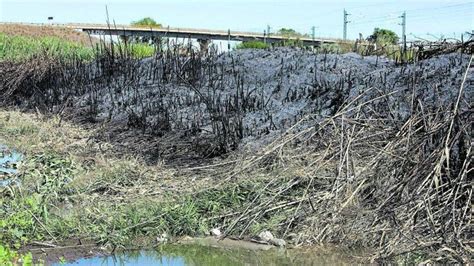 La Ribera Salva Un Ciclo Tórrido Con Un Mínimo De Incendios Forestales