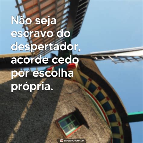 Frases De Acordar Cedo Librain