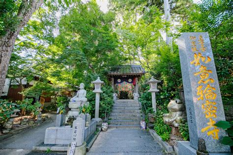Visit Fukuoka