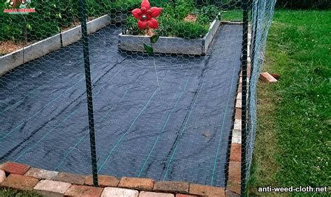 Prevent Weeds With Groundcover Anti Weed Netting