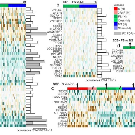 Exposure Class Predictions By Top Performers And Across All Teams Box