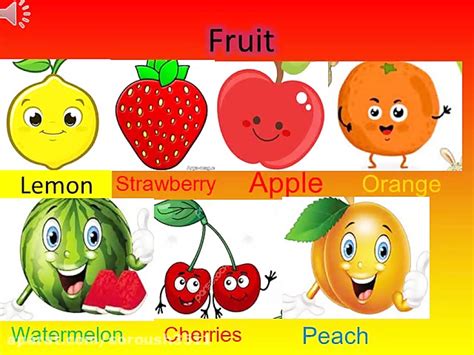 اموزش چند میوه مختلف به انگلیسی
